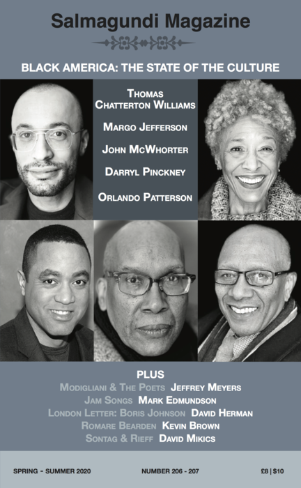 The Black Intellectual The Condition Of The Culture - Salmagundi Magazine