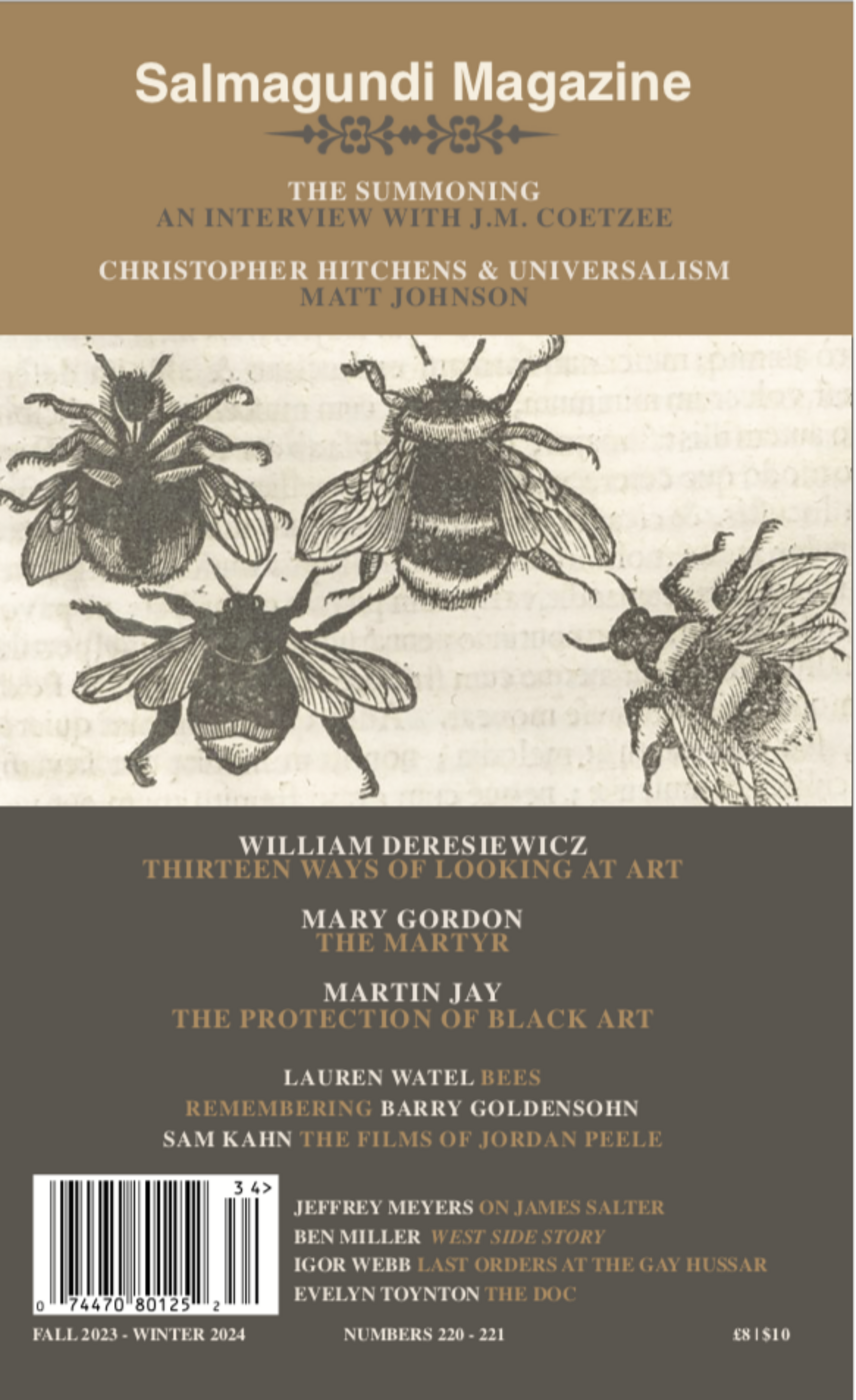 Thirteen Ways Of Looking At Art - Salmagundi Magazine